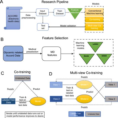 Enhancing Severe Hypoglycemia Prediction In Type 2 Diabetes Mellitus Through Multi View Co