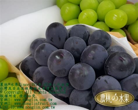 《此項商品已售完 請回主頁選購》農林精緻高級水果禮盒 日本空運進口葡萄綜合水果禮盒 日本長野縣溫室麝香綠葡萄x2房日本岡山縣溫室貓眼葡萄