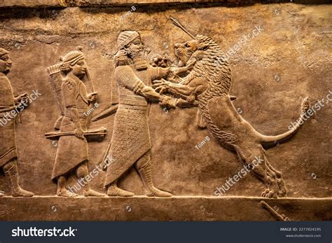 Lion Hunt Ashurbanipal Assyrian Art British Stok Fotoğrafı 2277824195