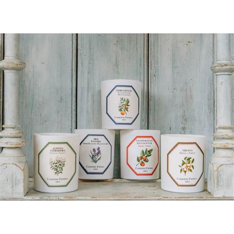 現貨Carrière Frères 番茄香氛蠟燭 博物館系列 睡蓮 苦艾 刺槐 185g 全新 蝦皮購物