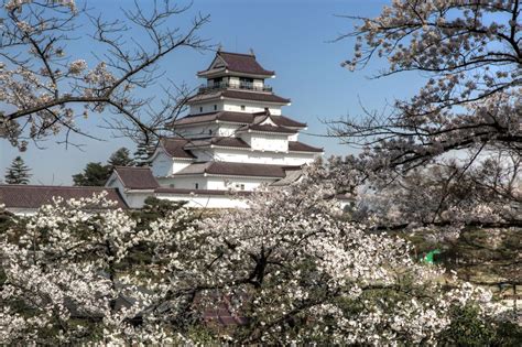 鶴ヶ城の春 GANREF