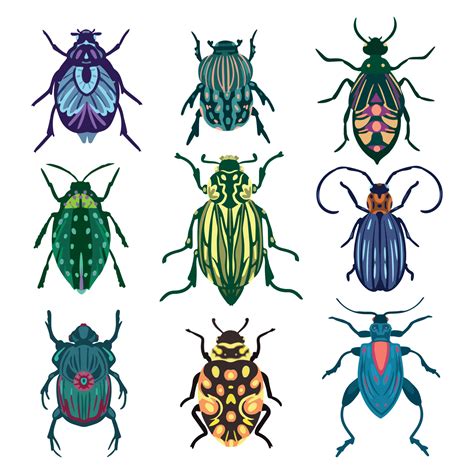 Vector Set Of Various Colorful Beetles 7924862 Vector Art At Vecteezy