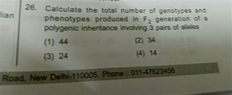 calculate the total number of genotypes and phenotypes produced in f2 ge