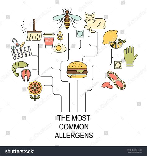 10 Allergen Icon Set Red Yellow Green Images Stock Photos Vectors Shutterstock