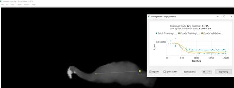 Error When Running Training · Issue 458 · Talmolab Sleap · Github