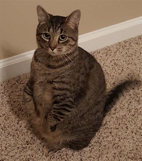 Bailey Marshall On Linkedin Rex Cybersecurity