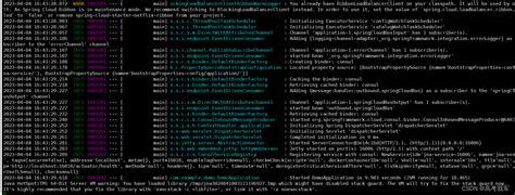 Springboot项目，运行在linux环境中，如何引用 So 动态链接库文件springcloud 加载so动态库 Csdn博客