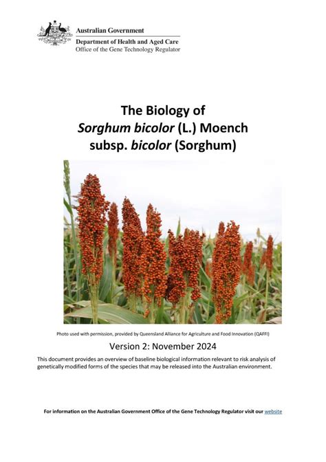 The Biology Of Sorghum Bicolor L Moench Subsp Bicolor Sorghum