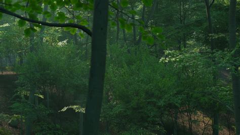 Procedural Content Generation Overview Unreal Engine 56 Documentation Epic Developer Community