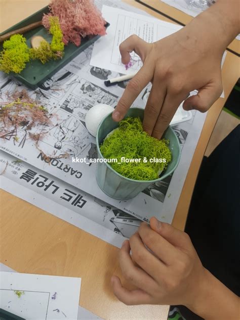공기정화식물 스칸디아모스 희망나무 토피어리 중학교 천연이끼 원예수업 광주 전주 전남 원예치료 식물심기 위클래스 진로체험 네이버 블로그