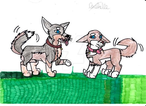 I Like You Ruby Ace X Ruby Breeding Picture By Countryhavenkennels On