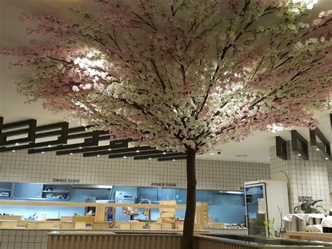 인조나무 조화나무수원 일식 뷔페 레스토랑 인조벚꽃나무인테리어최상급조화나무 네이버 블로그