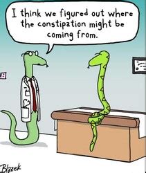 Funny Pictures II Page 516 Free Porn Adult Videos Forum