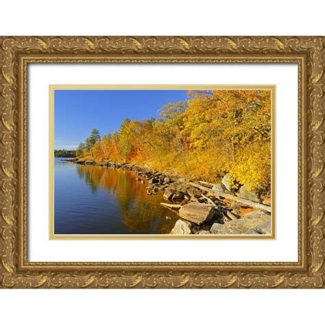 Grandmaison Mike 14x11 Gold Ornate Wood Framed With Double Matting