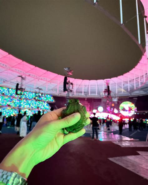 Frog Attends Coldplay Concert And Gets Once In A Lifetime Experience