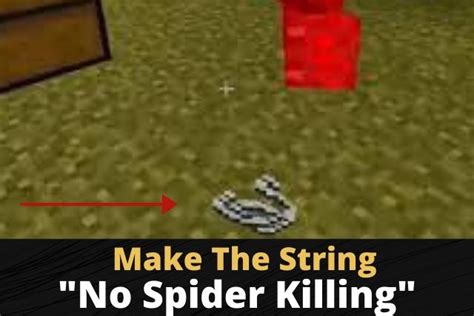 How To Get String In Minecraft Without Killing Spiders Newsxfeed