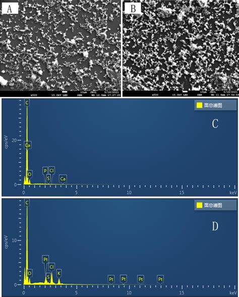 Figure 1 From An Amperometric Hydrogen Peroxide Sensor Based On Hollow Carbon Spheres Pt Nps