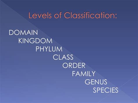 Levels Of Classification Explained At Donna Bradshaw Blog