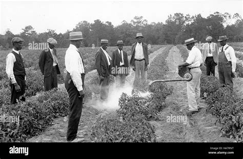 The Usda Continues Its Commitment To Science Based Environmental Policy Initiatives Aimed At