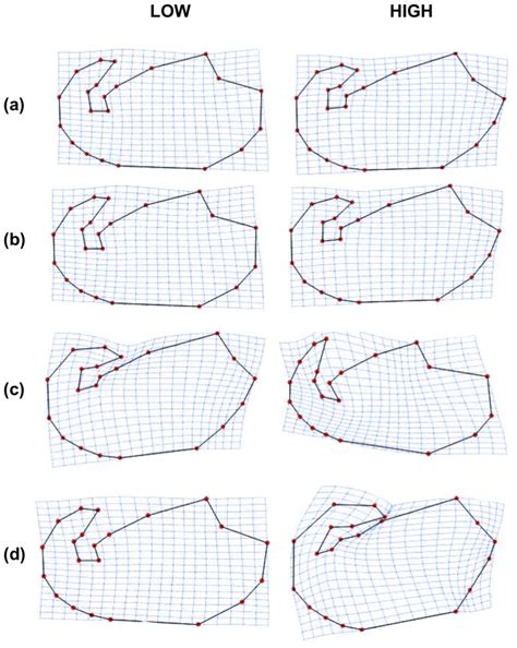 shape augmented regression model diagram regression represen