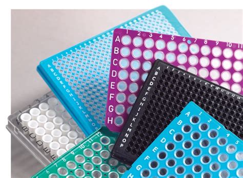 Coloured Well Skirted PCR Plates