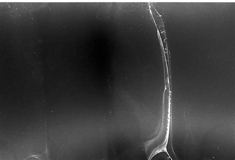 Premium Photo Abstract Colorful Splash 3d Background