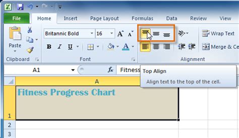 Excel 2010 Formatting Cells
