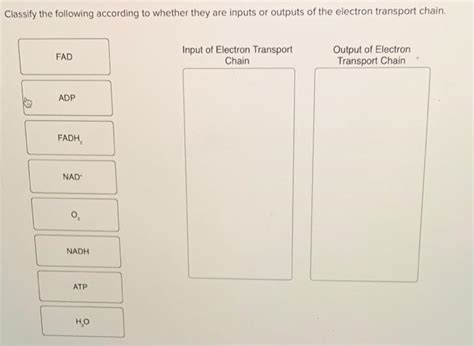 Solved Classify The Following According To Whether They Are