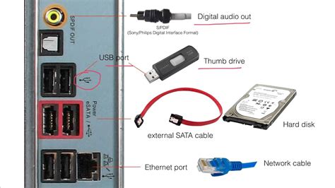 Diagram Of The Back Of A Typical System Unit What Are The Pa