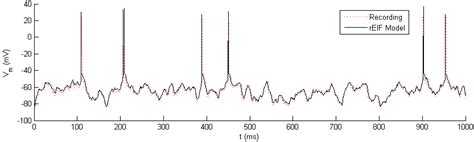 14 The Refractory Exponential Integrate And Fire Model Compared To Download Scientific