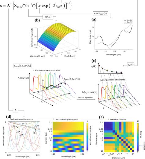 Figure 1 From Inverse Spectroscopic Optical Coherence Tomography Is Oct For Characterization