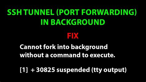 Linux Cannot Fork Into Background Without A Command To Execute Youtube