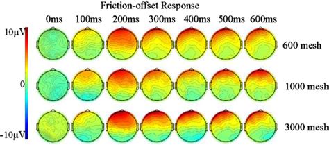 The Event‐related Potential Erp Waveforms Of The Frontal Lobe Of The Download Scientific