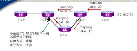 MPLS VPN Jameci S Blog