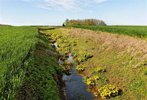 Weir In A Ditch Stock Image Image Of Green Horizontal 18784821
