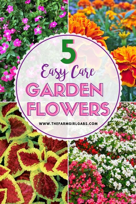 Five Easy Care Garden Flowers Artofit