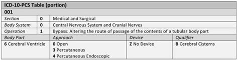 Chapter 06 Review Multiple Choice Introduction To Icd 10 Pcs Coding Conventions And Section