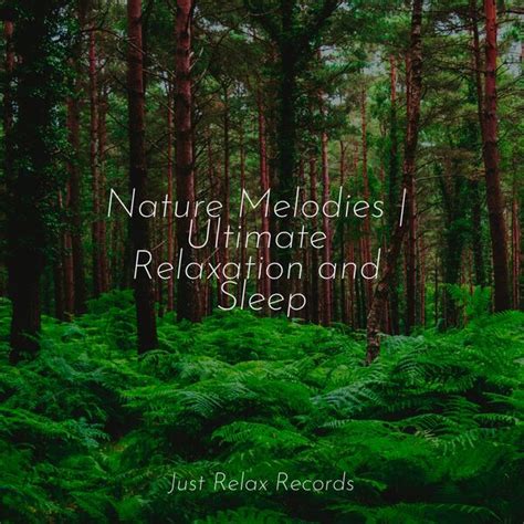Nature Melodies Ultimate Relaxation And Sleep 2024 Flac