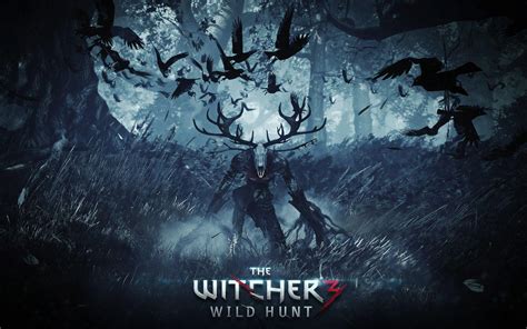 Witcher K Wallpapers Top Free Witcher K Backgrounds Wallpaperaccess