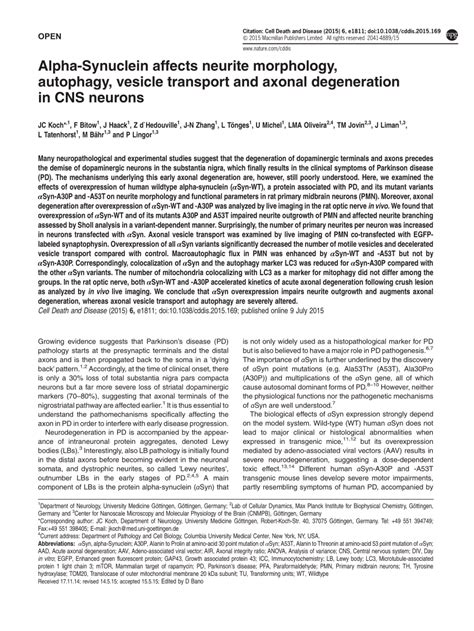 Pdf Alpha Synuclein Affects Neurite Morphology Autophagy Vesicle Transport And Axonal