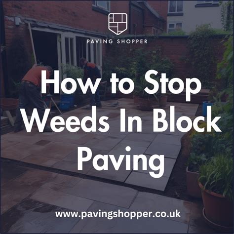 How To Stop Weeds In Block Paving Expert Tips Andtricks Paving Shopper