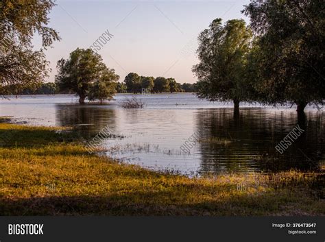 Trees Lake Roots Under Image Photo Free Trial Bigstock