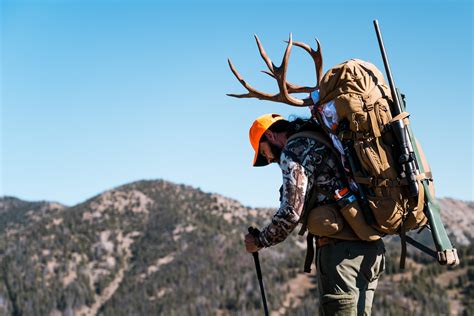 Backcountry Mule Deer Hunting Dialed In Hunter