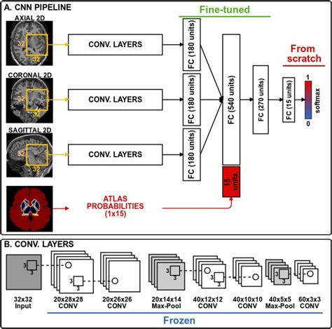 cnn architecture the weights of all convolutional layers are frozen download scientific