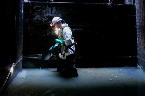 Sex Toy Flushed Down Toilet Caused Major Internal Flood At Owner S Home Mirror Online