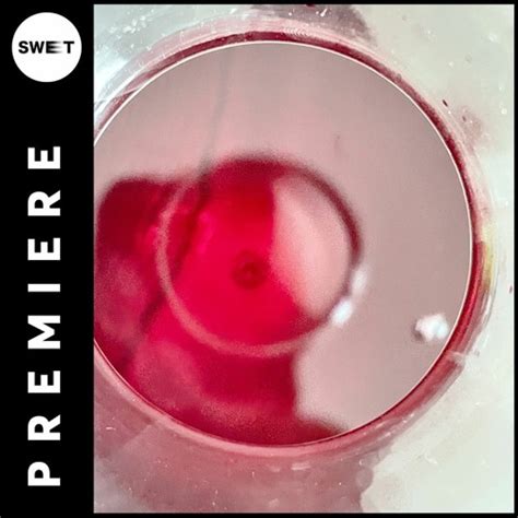 Stream Fec Listen To Path Integral Vi [sum Over Histories] Playlist