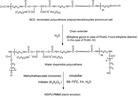 synthesis of wdpu pmma blend coatings puac 11 and puac 12 download