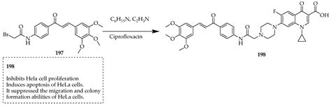 Advancements In Synthetic Strategies And Biological Effects Of Ciprofloxacin Derivatives A Review
