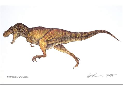 Tyrannosaurus Rex Jurassic Park Art Pre Jurassic Park T Rex Designs