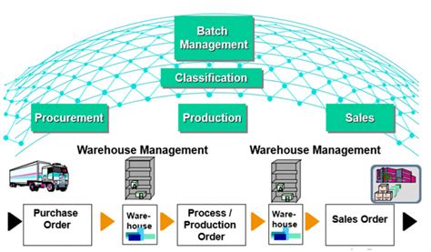 How To Optimize Batch Management In Sap